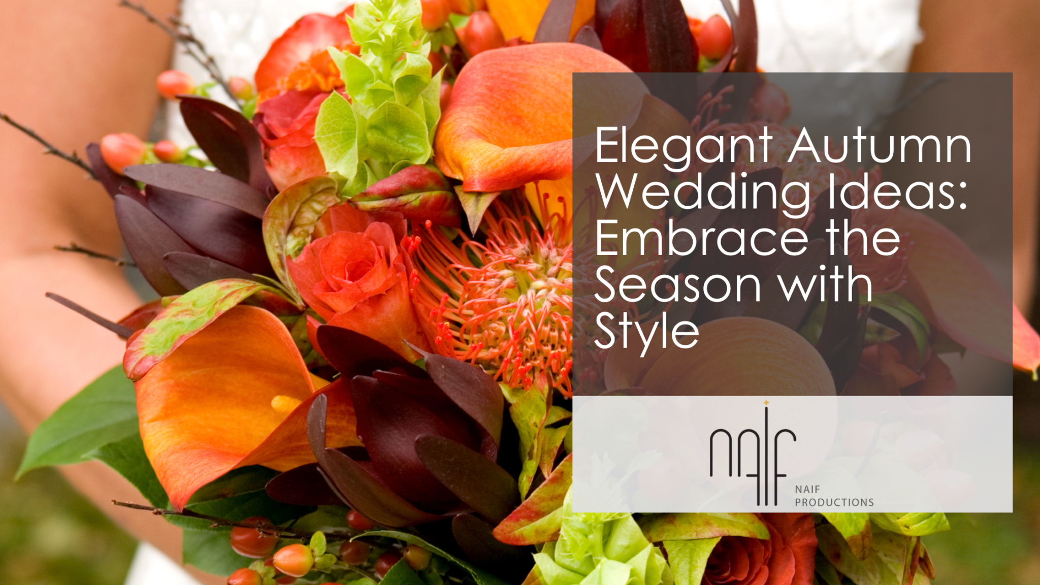 Latest News and Updates - Naif Productions